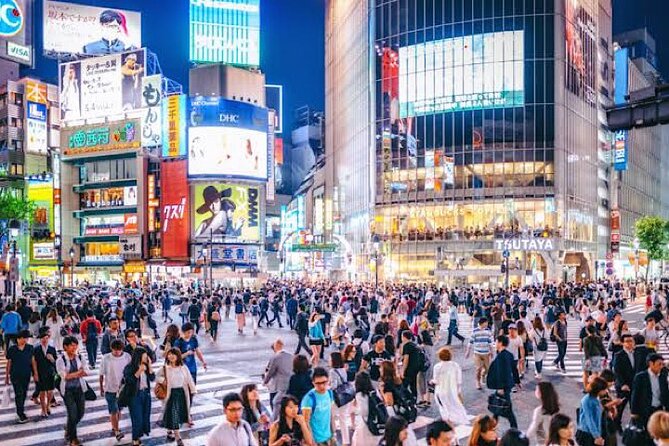 1-Day Private Tokyo Sightseeing Tour With Guide | Power Traveller