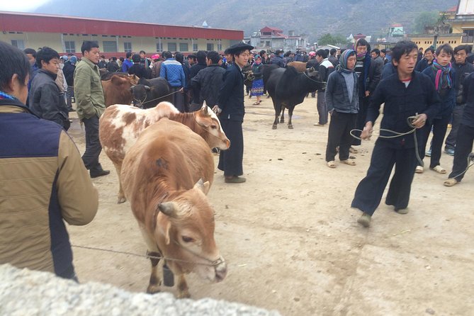 3-Day Discover Ha Giang Loop Tour From Hanoi | Power Traveller