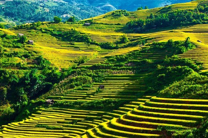 3 Day Ha Giang Loop- Dong Van Geopark From Hanoi by Limousine Bus | Power Traveller