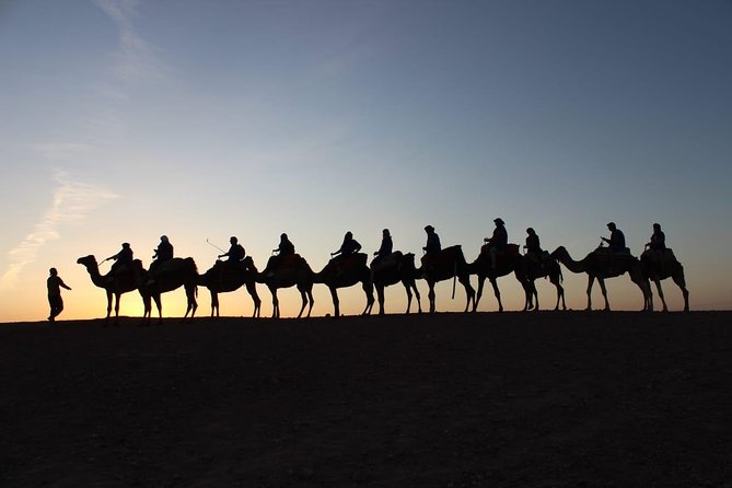 30 Minutes Camel Tour | Power Traveller
