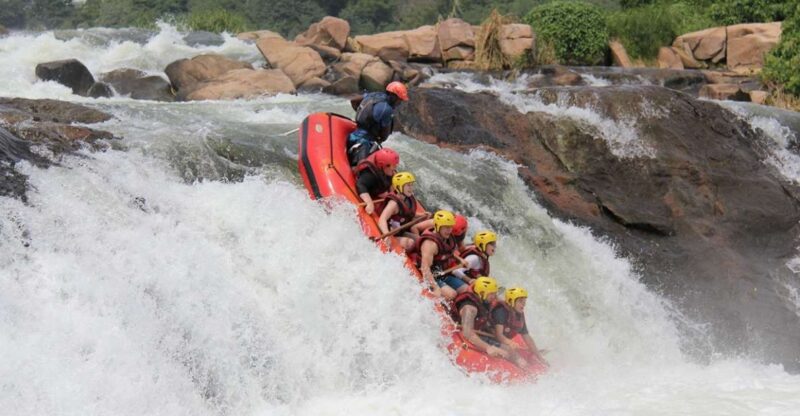 8-Day Source of Nile River, Primates &Game Drive Safari | Power Traveller