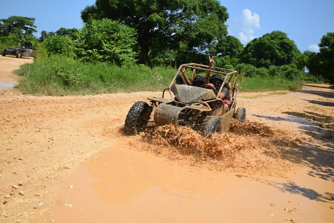 Adrenaline in Buggies for Half-Day Groups | Power Traveller