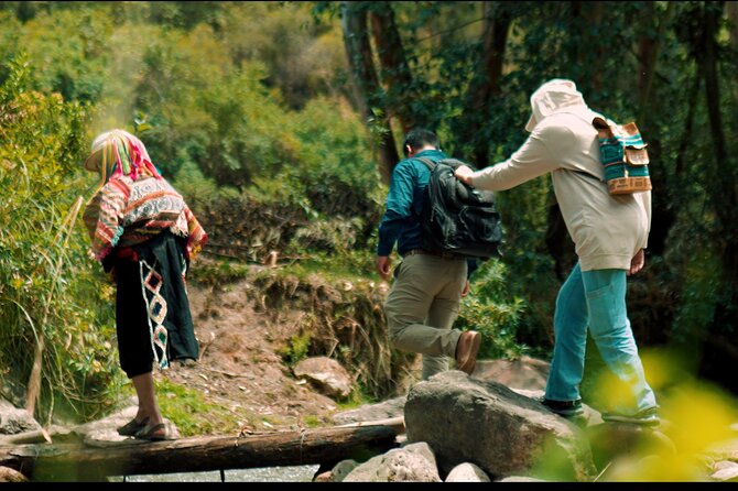 Alpaca Walk & Natural Dye Tour: A Memorable Full Day Experience | Power ...