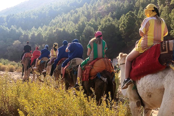 Atlas Mountains and Three Valleys & Waterfalls - Camel Ride Day Trip ...