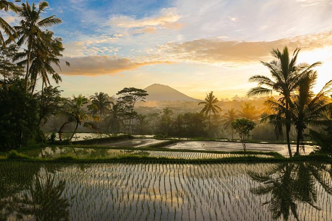 Bali Pure Trek With Spiritual Journey, Purification Ceremony, Local ...