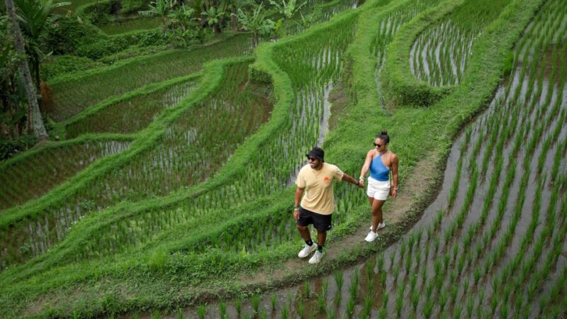 Bali: Purification Temple, Waterfalls & Rice Terrace | Power Traveller