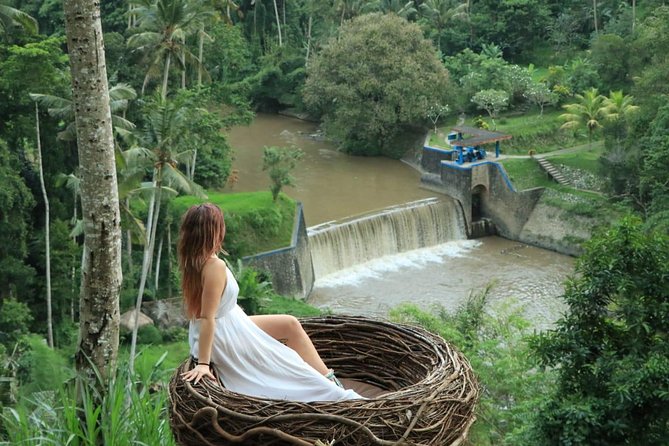 Bali Swing Pioneer in Ubud , Exhilarating Instagrammable Swings in Bali ...