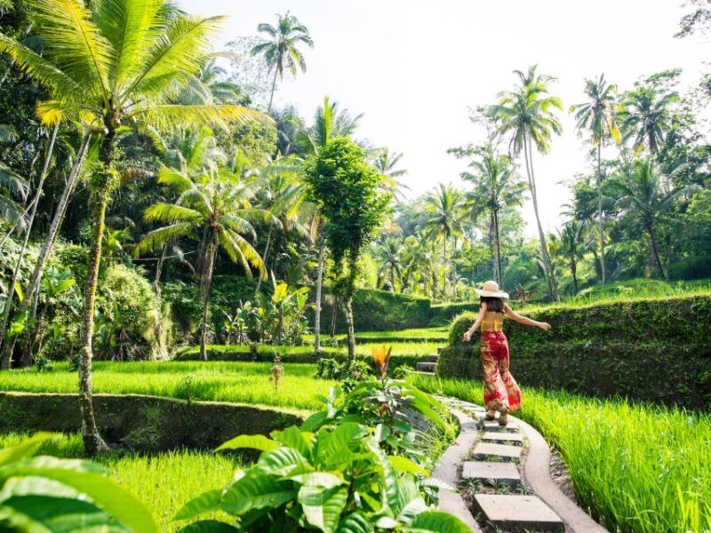 Bali: Ubud Adventure: Rice Terraces, Monkey Forest & Falls | Power ...