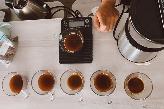 Barismo for Beginners | Power Traveller