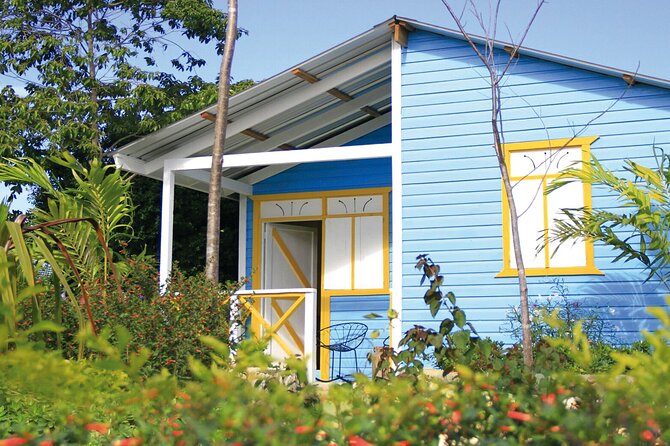 Bavaro Adventure Park Buggy Ride, Zipline Mega Splash, and Waterfall ...