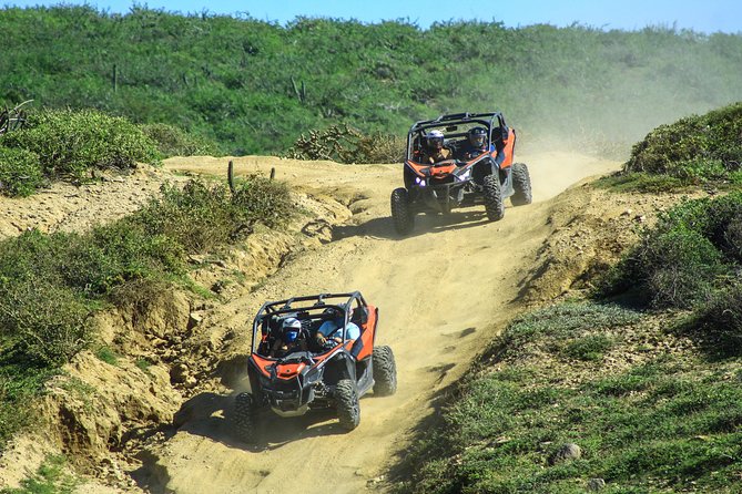 Beach & Desert Premium X3 UTV Tour in Cabo (Price per Person) | Power ...