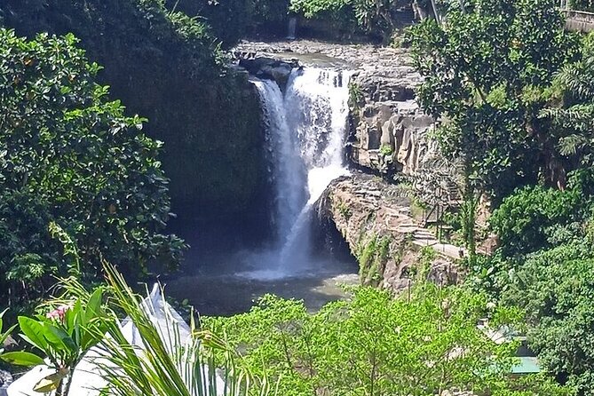 Best of Ubud - Ubud Tour Popular - All Inclusive | Power Traveller
