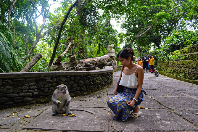 Best Ubud Highlights - Private Day Tour | Power Traveller