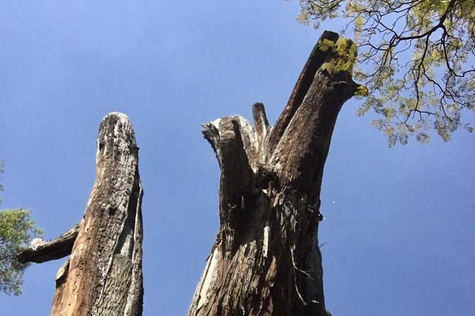 Bike Tour in Mexico City | Power Traveller