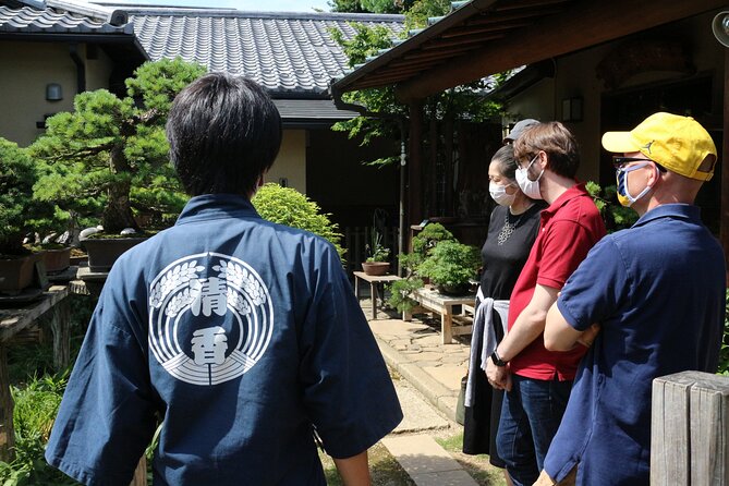 Bonsai(Japanese Plants Art)Culture Experience in Tokyo Progress | Power Traveller