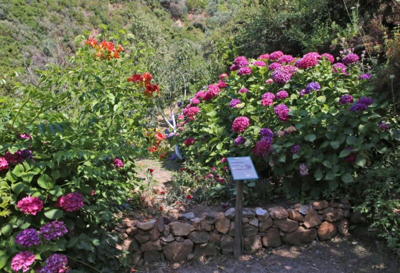 BOTANICAL PARK & GARDENS OF CRETE | Power Traveller