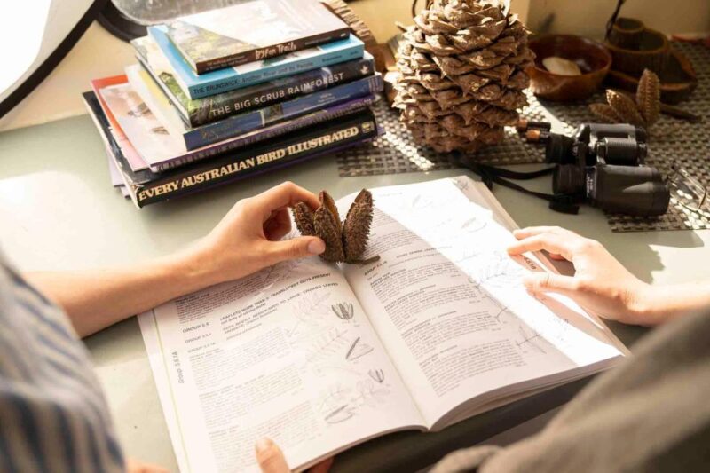 Brunswick River: Byron Sunset Eco Rainforest River Cruise | Power Traveller