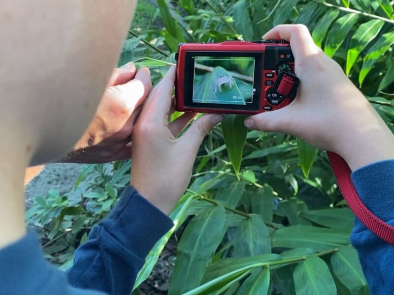 Cairns: Insect Photography Tour of Cairns Botanic Gardens | Power Traveller