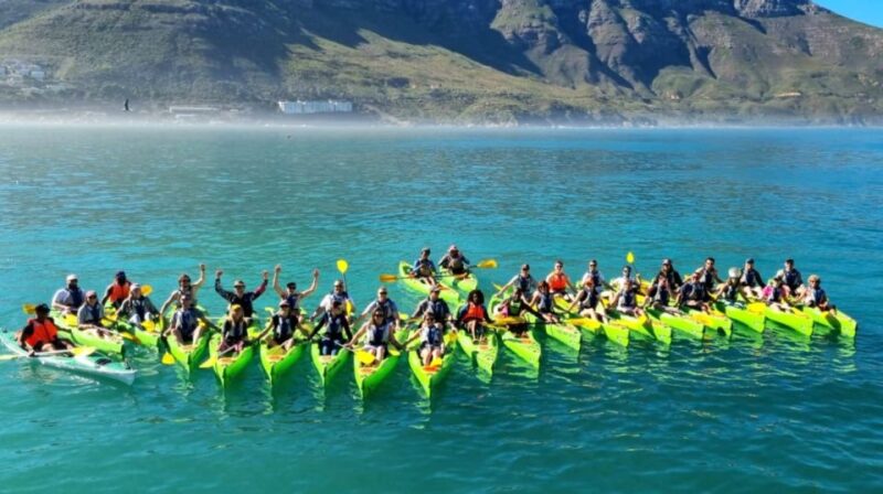 Cape Town: Guided Kayaking in Hout Bay | Power Traveller