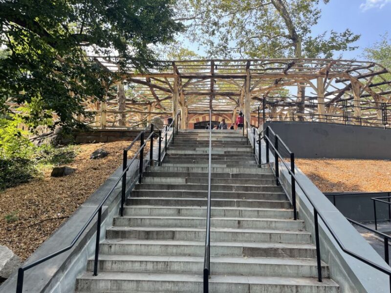 Central Park Daily Walking Tour | Power Traveller