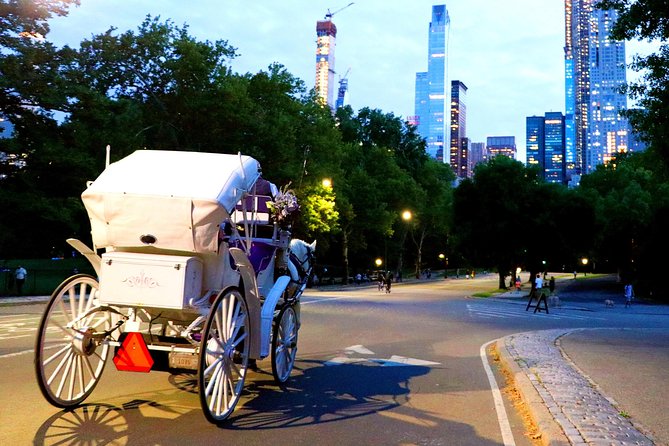 Central Park, Rockefeller & Times Square Carriage Ride (4 Adults ...