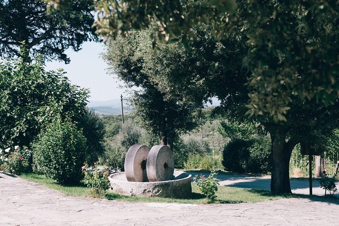 Classic Wine Tour in Chianti From Florence | Power Traveller