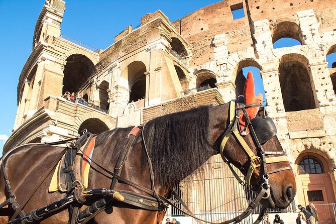 Colosseum Arena Floor & Ancient Rome Tour for Kids and Families | Power Traveller