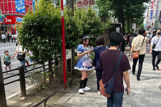 Crazy About Anime! Private Full Day Tokyo Manga Anime Tour by Chartered ...