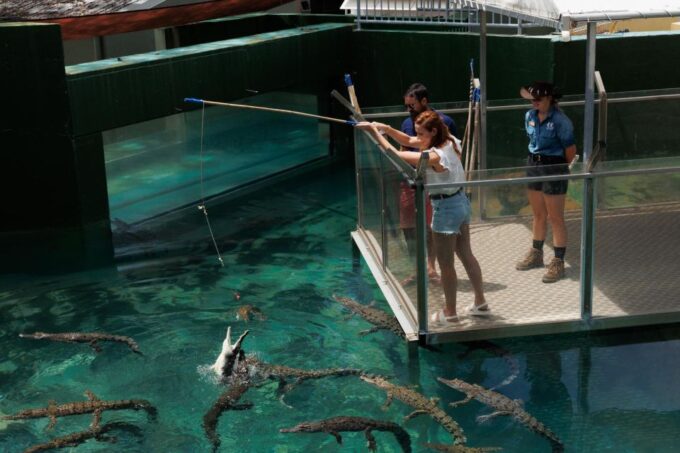 Darwin: VIP Crocosaurus Cove Experience | Power Traveller