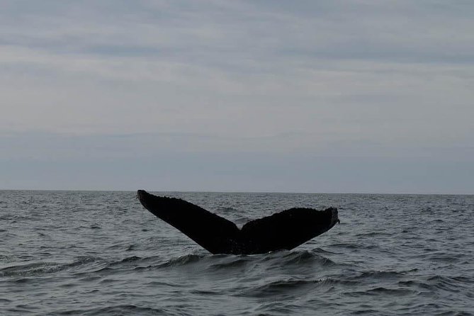 Diamond Head Sail and Snorkel Adventure | Power Traveller