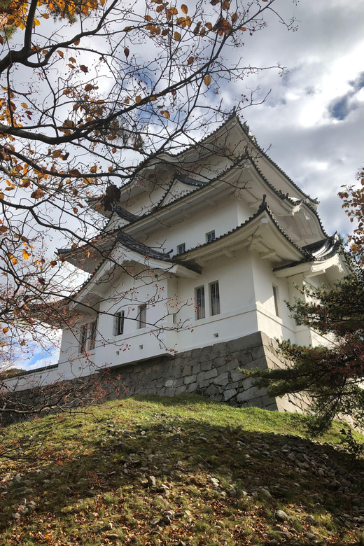 Discover the Ninja Secrets of Iga City (Private) From NARA | Power ...