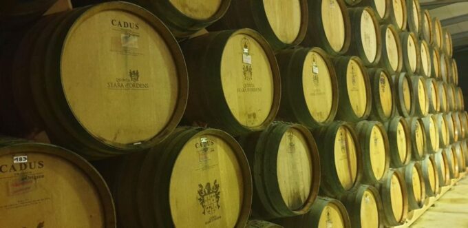 Douro Valley Tour Wines and Breathtaking Views | Power Traveller