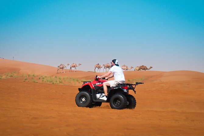 Dubai Premium Evening Quad Bike, Desert Safari and BBQ Dinner | Power Traveller