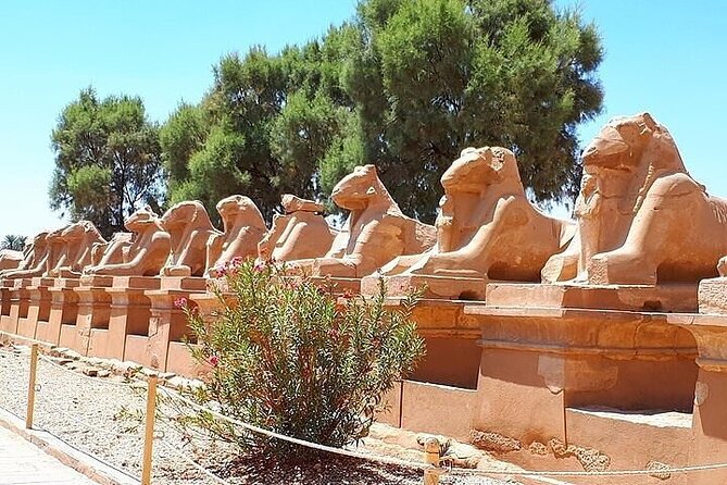 East Bank in Luxor Day Tour | Power Traveller