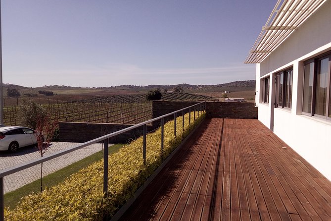 Évora - Inside the Olive Oil, Wine, and Cork Triangle (Private Tour ...