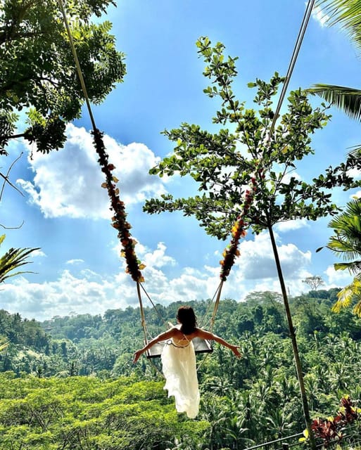 Experience in Ubud: VW Tour, Bali Swing, and Infinity Pool | Power ...