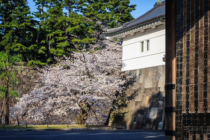 Exploring Toranaga’s Edo | Power Traveller