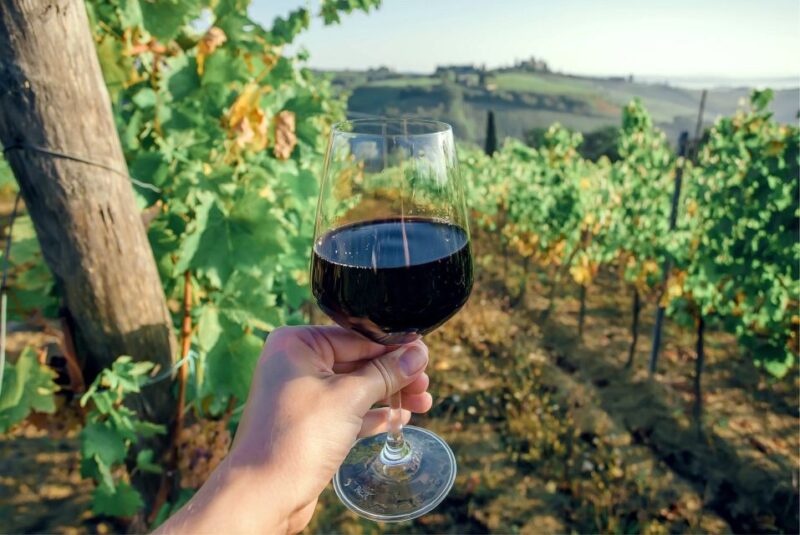 Florence: Private Half-Day Chianti Tour | Power Traveller