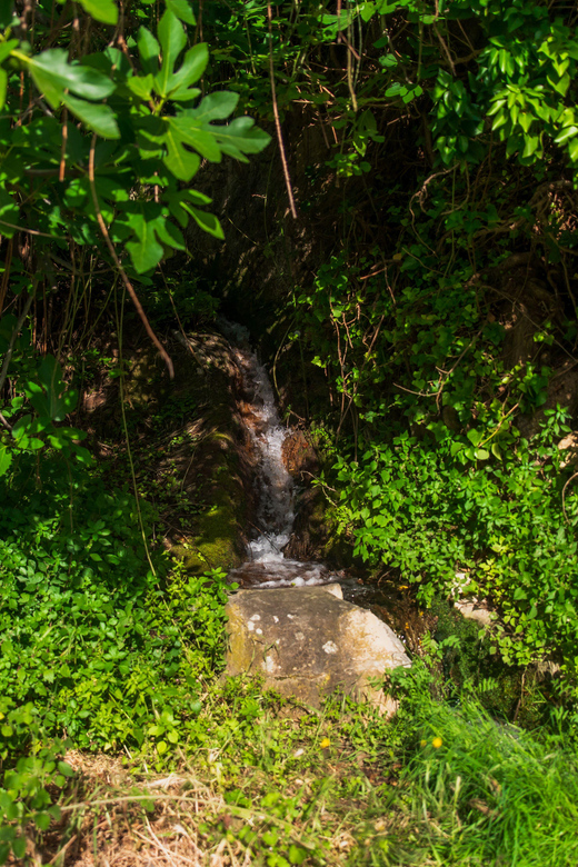 Follow the Riverside Hiking Tour (Small Group Experience) | Power Traveller