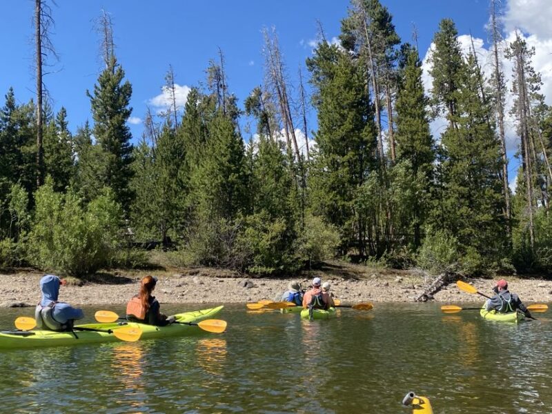 Frisco: Dillon Reservoir Guided Island Tour by Kayak | Power Traveller