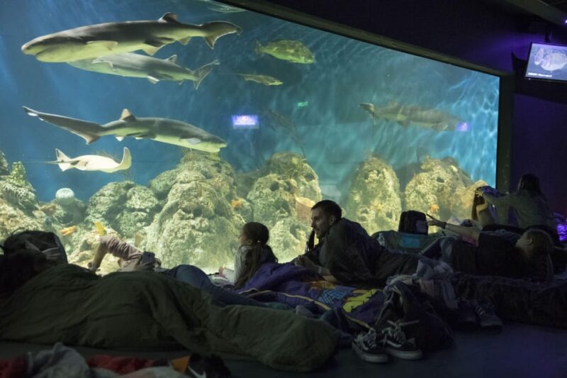 From Buenos Aires: Full-Day Temaiken Eco Park | Power Traveller