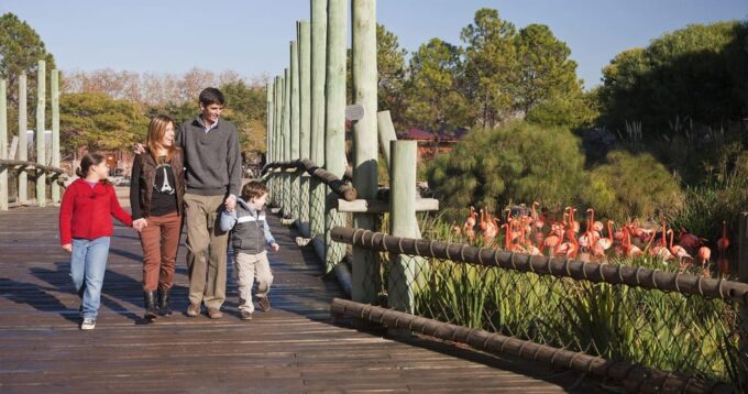 From Buenos Aires: Full-Day Temaiken Eco Park | Power Traveller