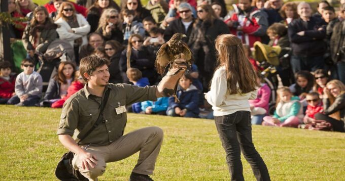 From Buenos Aires: Full-Day Temaiken Eco Park | Power Traveller