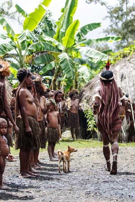 From Jayapura : Dance War , Primitive Village , Pig Fest | Power Traveller