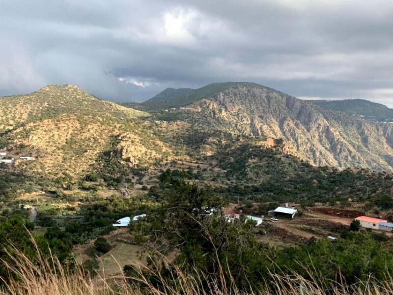 From Jeddah & Makkah: Taif Full Day Tour With Lunch | Power Traveller