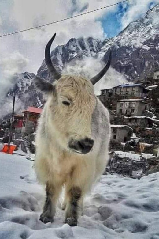 From Kathmandu: Tsho Rolpa Lake Trek Rolwaling Valley Trek | Power ...