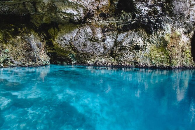Full Day Private Tour to Scape Park From Punta Cana | Power Traveller