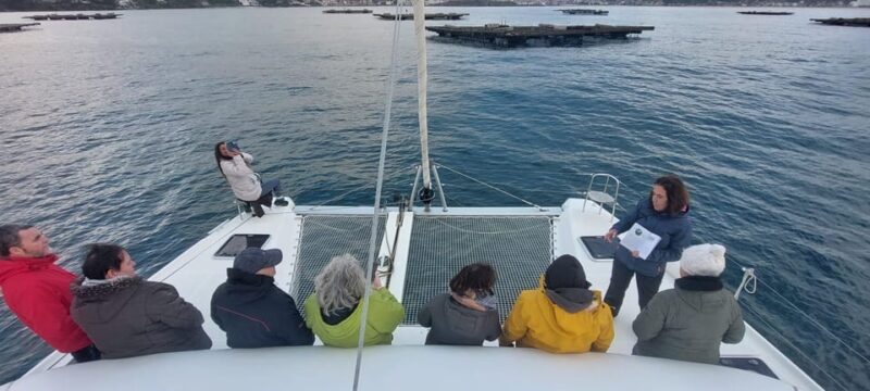 Full Scientific Tourism in the Cíes Islands | Power Traveller