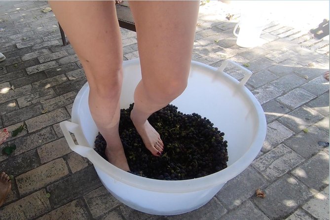 Grape Stomping and Harvest Experience: Wine & Tasting Tour Rome | Power ...