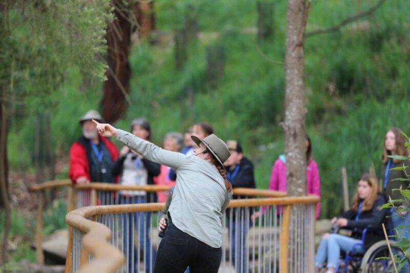 Great Ocean Road: Guided Wildlife Walk That Supports Nature | Power ...